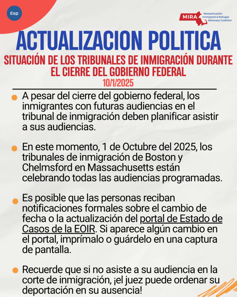 Policy Update: Status of Immigration Courts During Federal Government ...