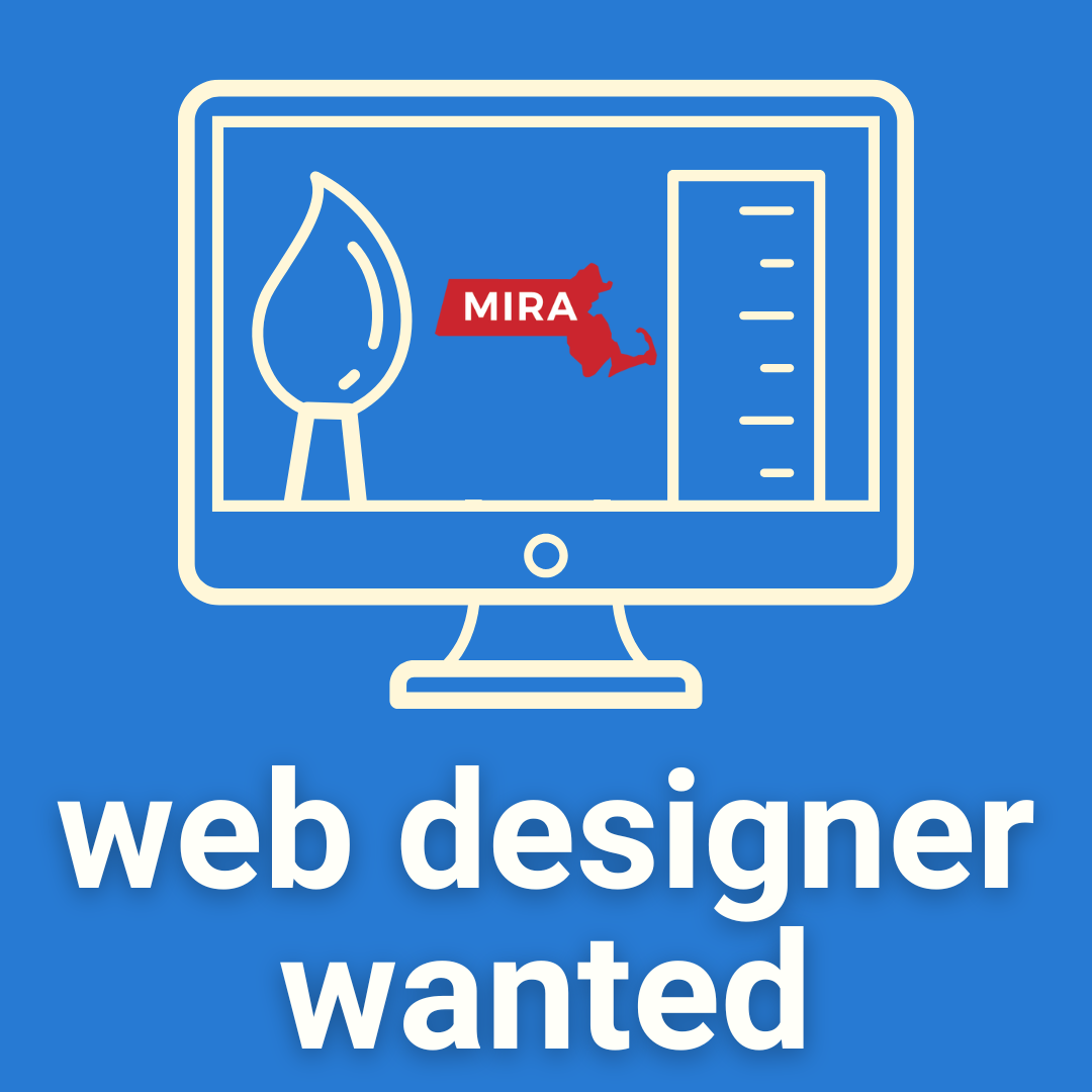 WordPress Web Designer - MIRA Website Redesign (Design Phase) - MIRA ...